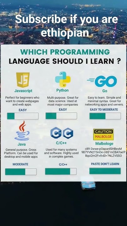 the best programming languages to learn in 2023 #amharic #ethiopia #shorts #python #javascript ...
