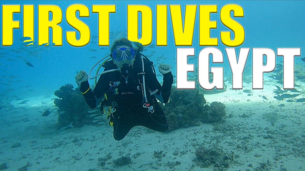 FIRST Scuba Dives in RED SEA Of Egypt - Egypt Diving Adventure - YouTube