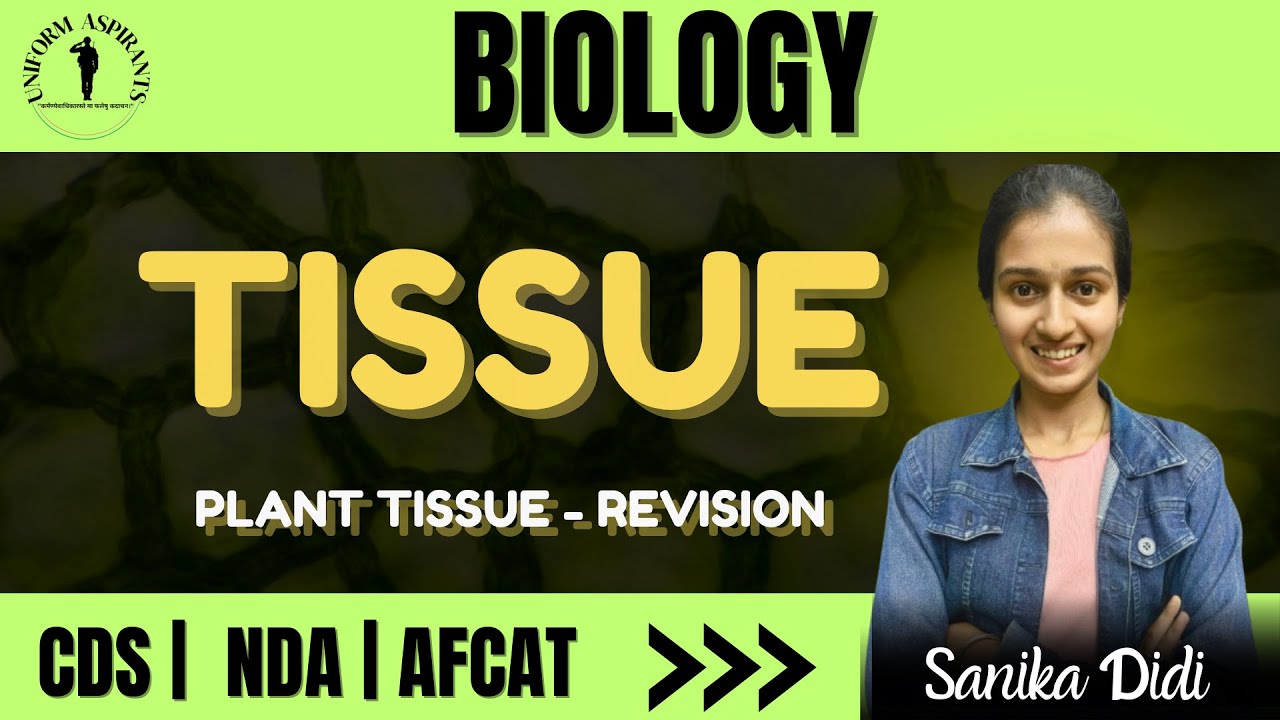 Quick Revision - Plant Tissue - YouTube