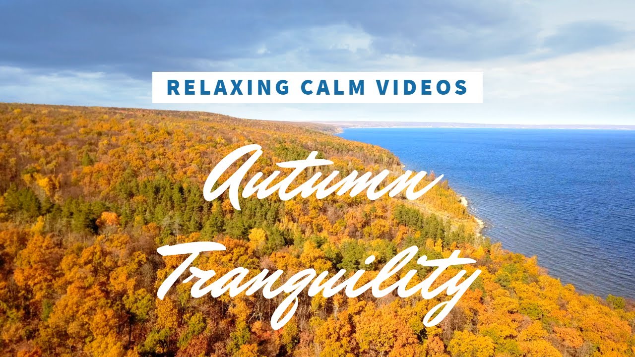 Autumn Tranquility - Relaxing Calm Videos - Unwind with 2 Hours of Fall ...