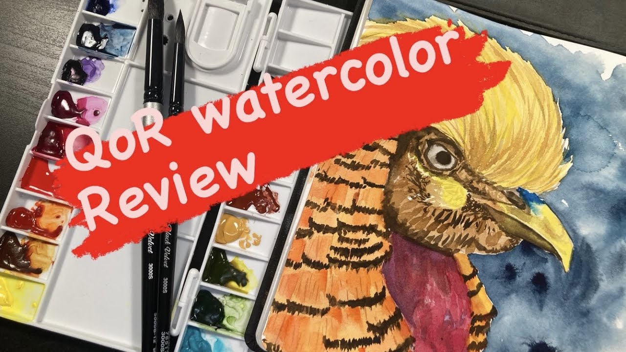 QoR watercolor REVIEW + painting a Golden Pheasant - YouTube