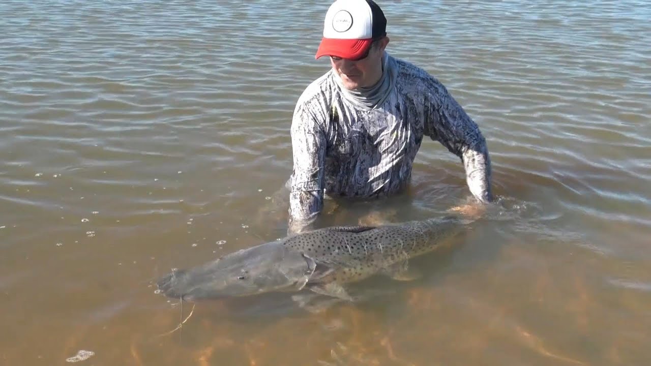Pescaría na Argentina IMPRESIONANTE PESCA DE SURUBI CON CARNADA en ITA ...