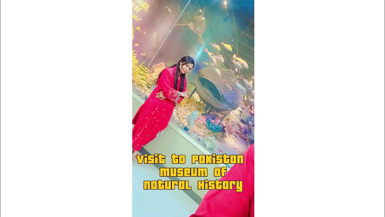 visit to pakistan museum of natural history🥰🥰🥰🥰 - YouTube