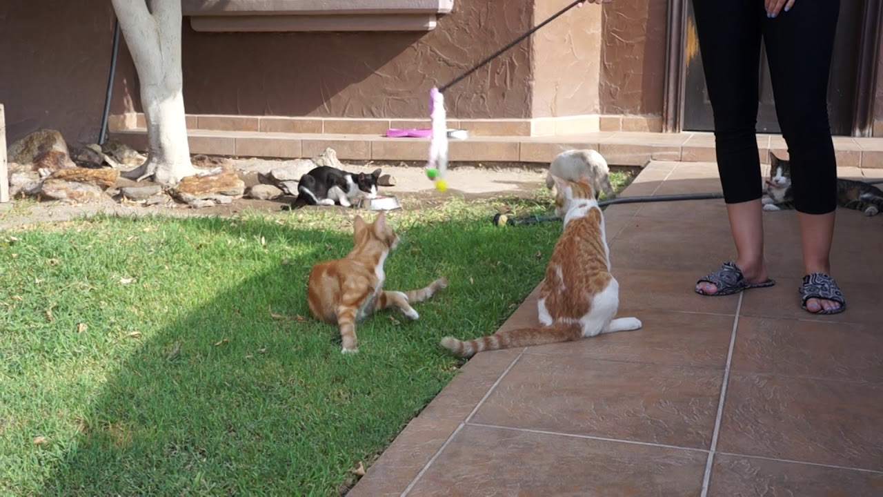 Botas Candy Memo Becky Donald - YouTube