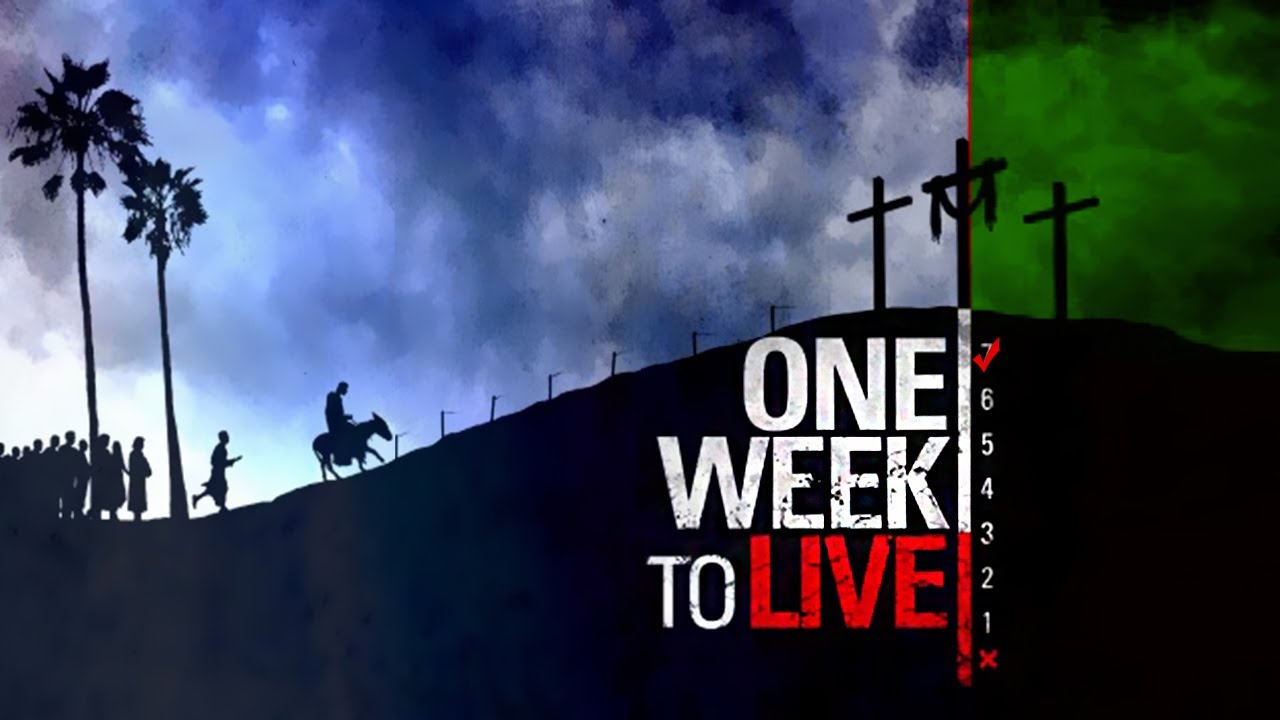 One Week To Live - Day 2 | #107 - YouTube