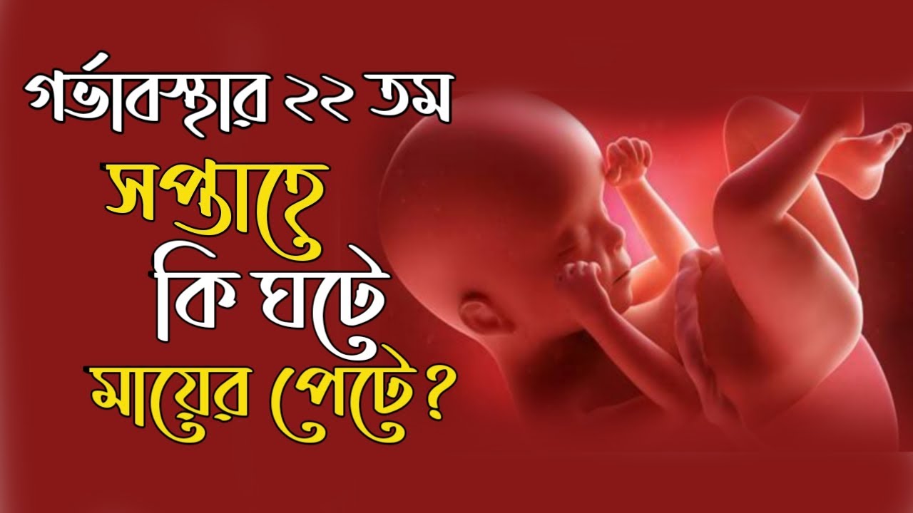 গর্ভাবস্থার ২২ তম সপ্তাহ । 22 Week Pregnancy bangla । Pregnancy Week by ...