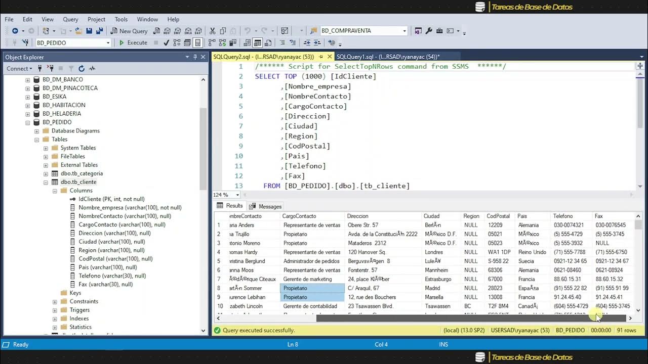 SQL Server - Formas de insertar información a una Base de Datos - YouTube