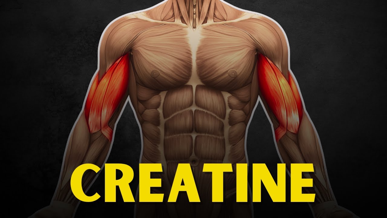 How to use CREATINE for muscle growth (COMPLETE STEP BY STEP) - YouTube