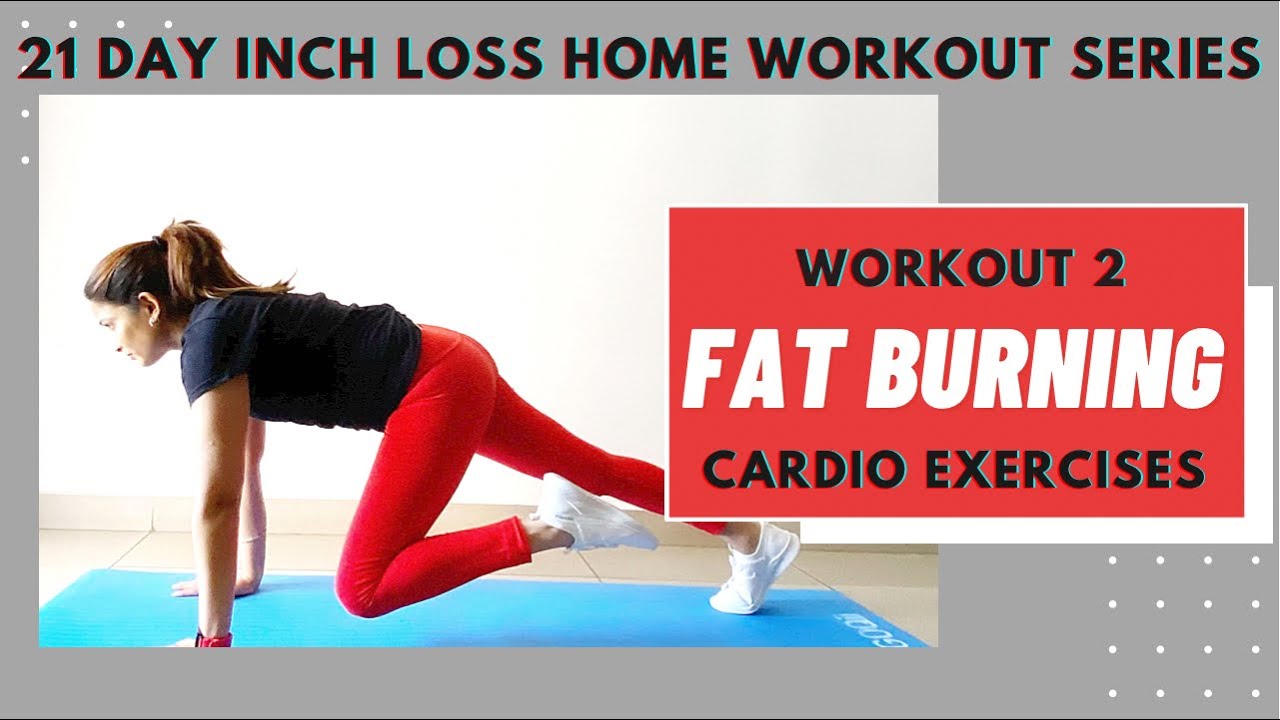 Fat Burning Knee Friendly Cardio workout II Suitable for All Fitness ...