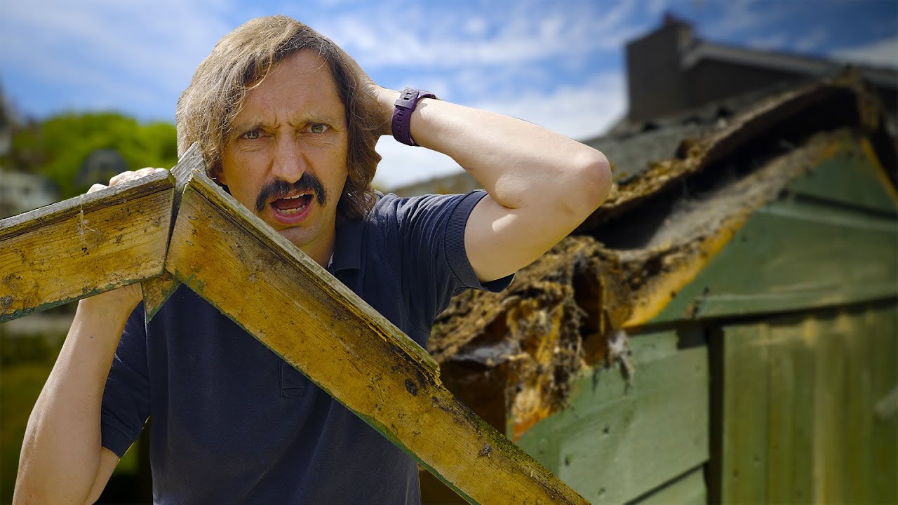 Shed Renovation DISASTER! - YouTube