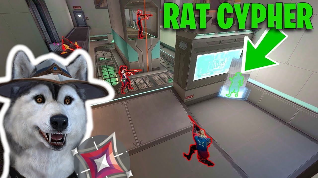 I just took rat Cypher to the next level - YouTube