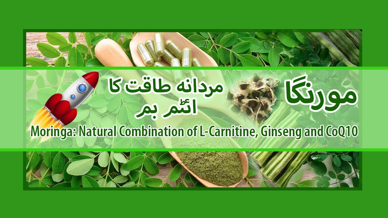 Moringa Benefits For Men. Sohanjna Tree Benefits For Men Health. Stop ...