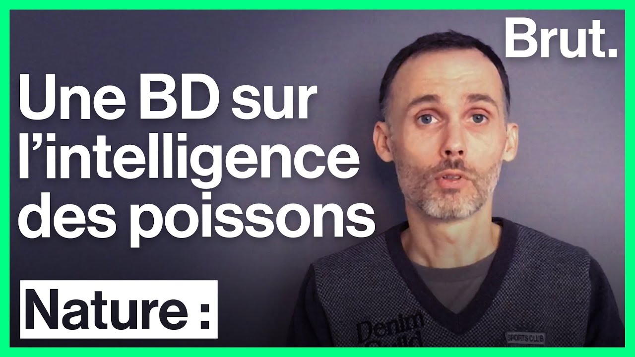 Interview avec Sébastien Moro sur l'intelligence des poissons - YouTube