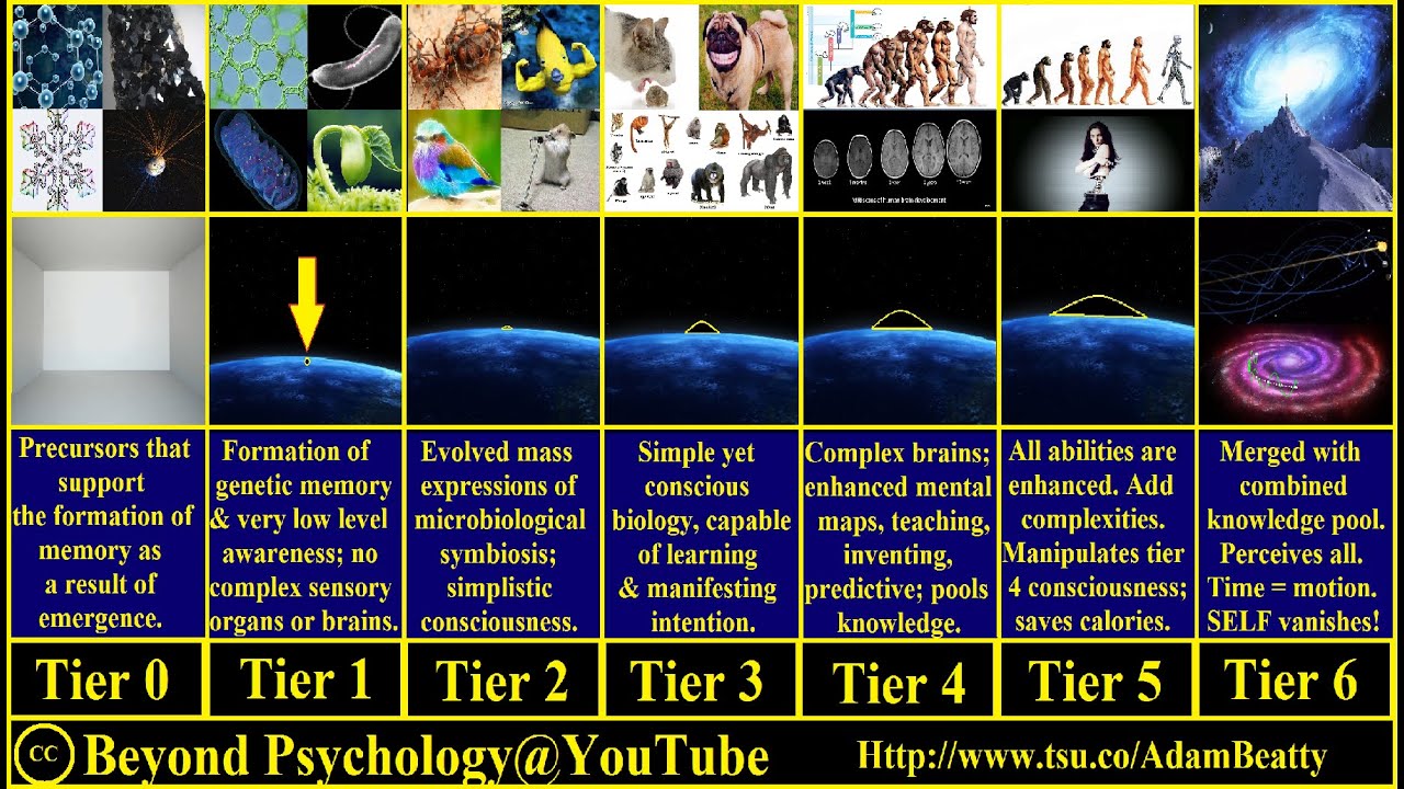 Emergent Consciousness; The Tiers of Awareness, Intro & Addressing ...