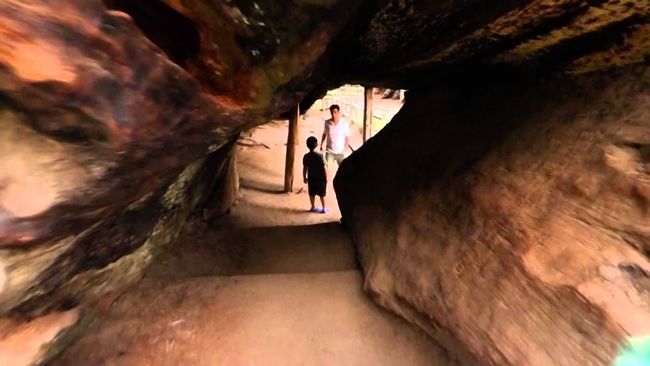Fallen Monarch - Fallen Giant Sequoia at Grant Grove - YouTube
