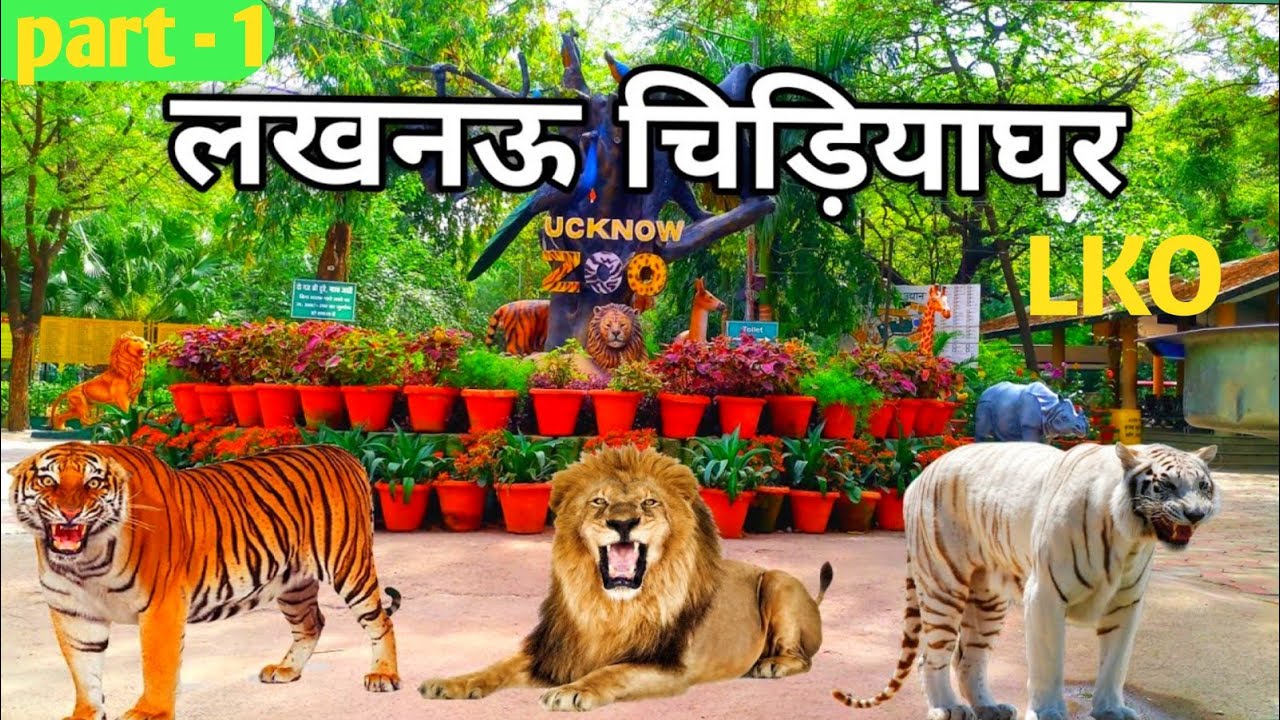 Lucknow zoo |लखनऊ चिड़ियाघर |nawab wajid ali shah zoological garden ...