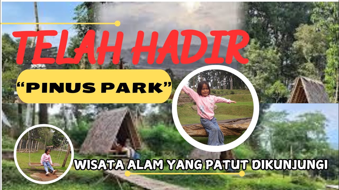 TELAH HADIR " PINUS PARK "WISATA ALAM YANG WAJIB DIKUNJUNGI DIKABUPATEN ...