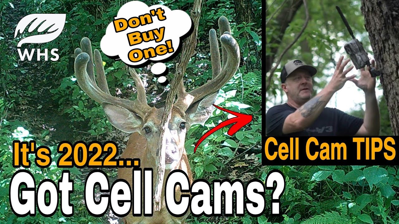 Cell Cam Deer Hunting Tips - YouTube