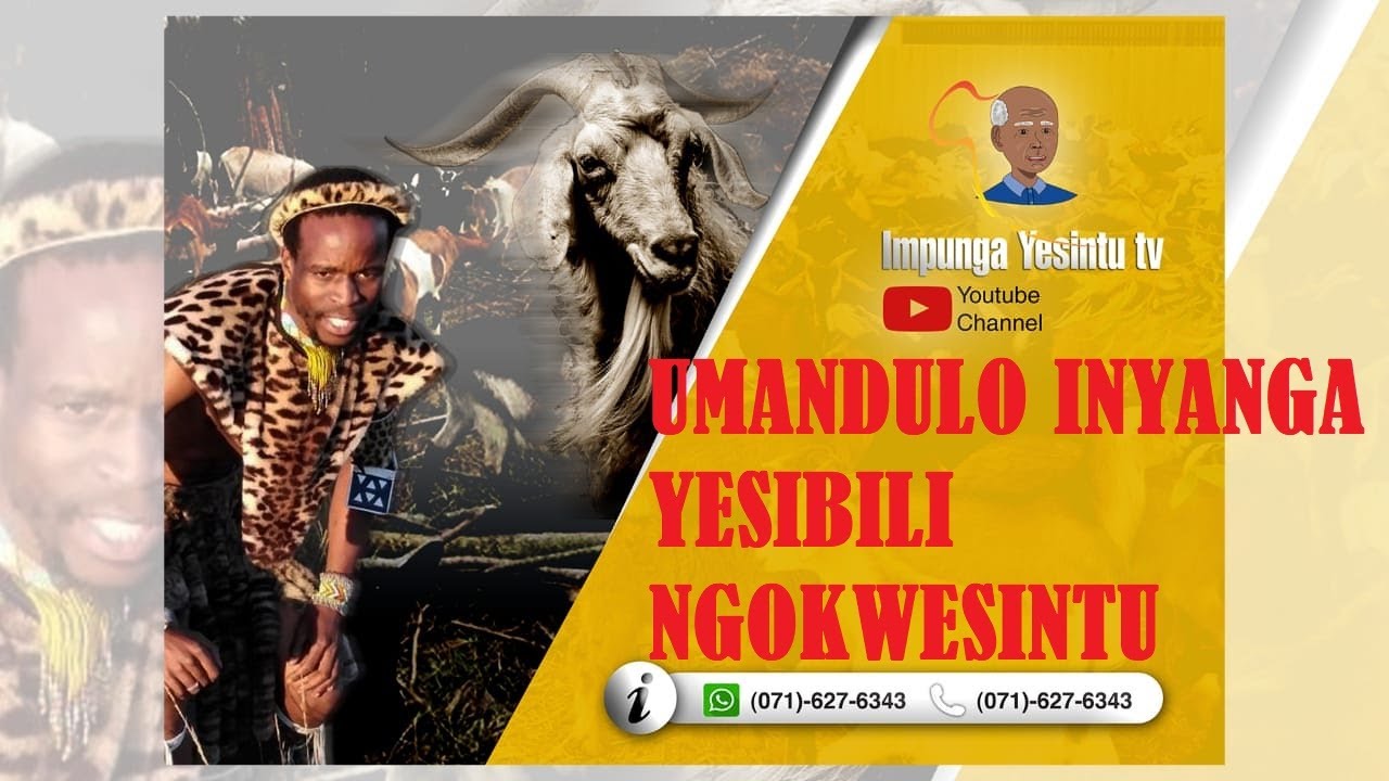 NGOKWESINTU UMANDULO YINYANGA YESIBILI - YouTube