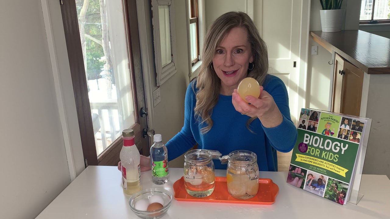 "The Kitchen Pantry Scientist, Biology for Kids" Osmosis Experiment ...