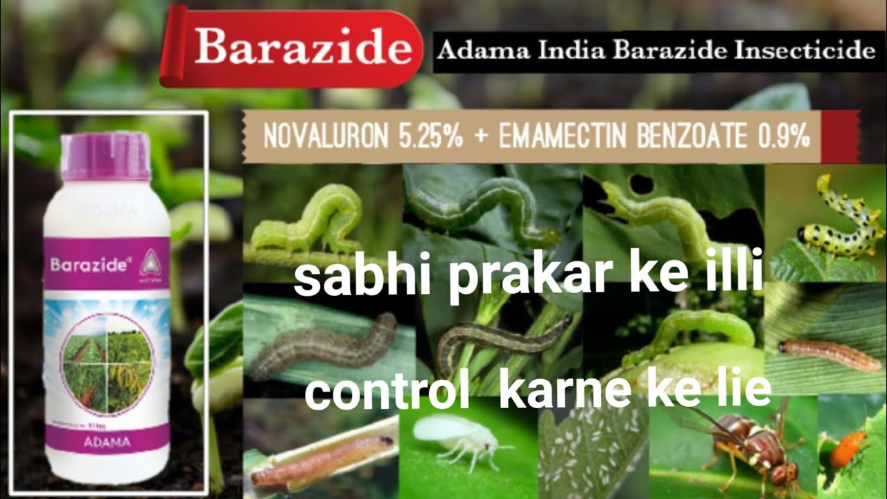 Barazide is a best insecticide to control insects. - YouTube
