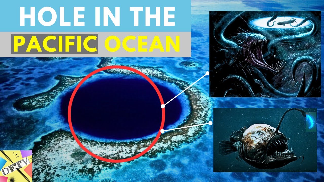 Hole In The Pacific Ocean | The Mystery of Pacific Trench | Deep Hole ...