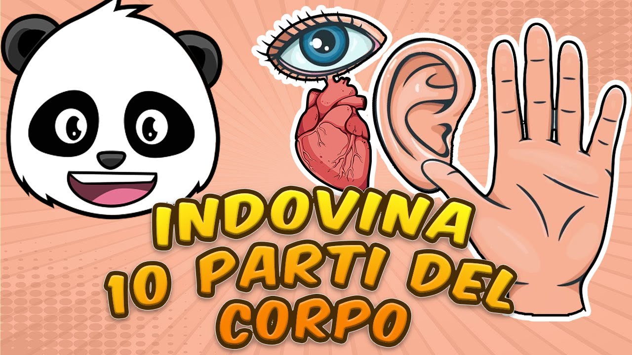 👀💪 Scopri le Meraviglie del Nostro Corpo: Gioco delle Parti del Corpo ...