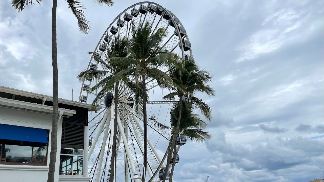 View from Skyviews Miami Observation Wheel - YouTube
