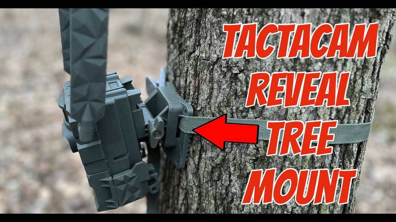 Tactacam Reveal Cellular Camera Tree Mount Product Review - YouTube