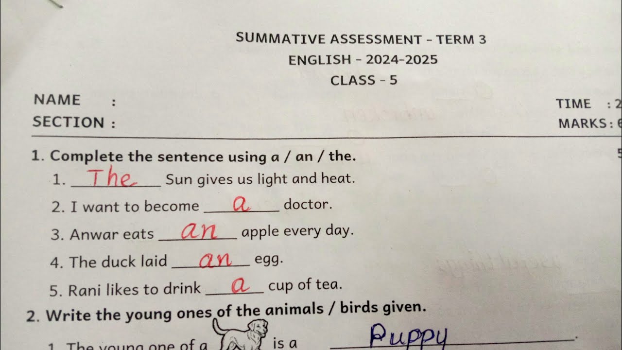 5th standard english exam question paper Term3 Annual Exam 2024-25 ...