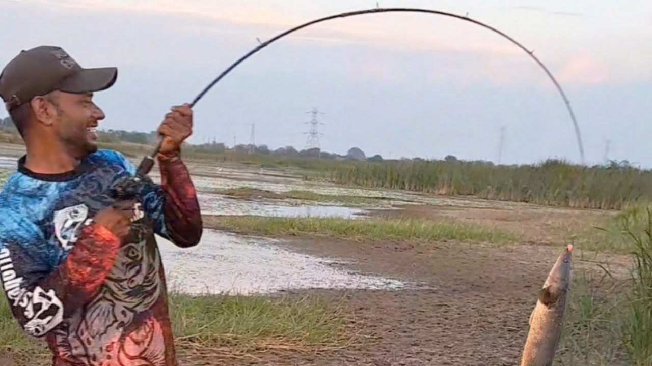 Fishing videos dy snakehead fishes catching Hanting big snakehead dead ...
