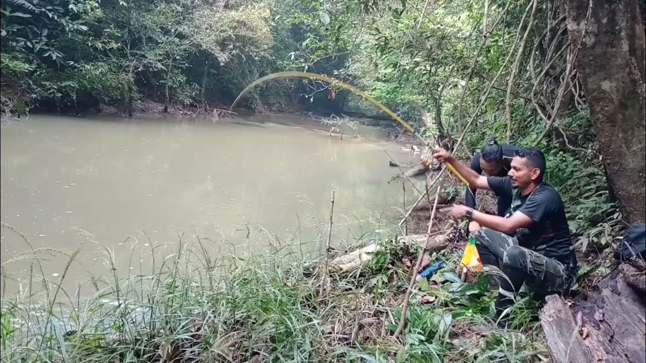 MANCING IKAN BAUNG DAN TENGAS DAUN (1) - YouTube