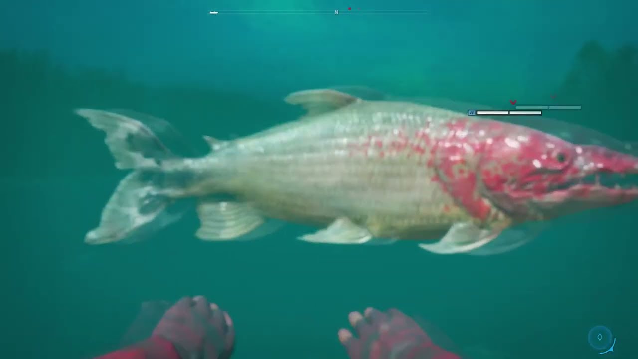 Demon Fish