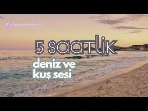 5 Saatlik Deniz ve Kuş Sesleri | Rahatlatıcı Doğa Ambiyansı 🌊🕊️ | sleepnastro