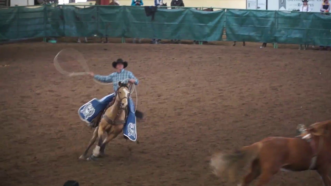 Skyline Stampede Rodeo - YouTube