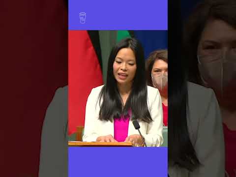 Labor MP Sally Sitou reflects on the diversity of the 47th Parliament ...