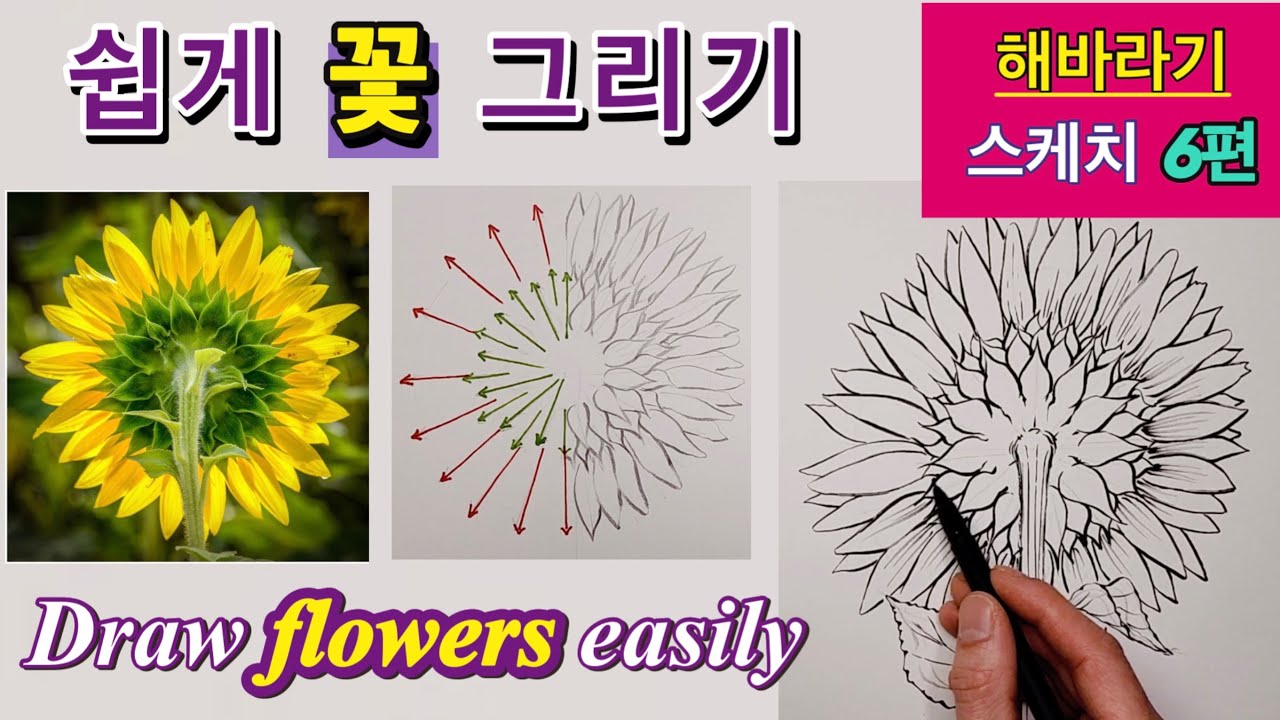 꽃flower 그림 독학을 위한 쉽게 꽃 그리기 강좌 해바라기 스케치 6편 How To Draw Flowers 쉽게 꽃 그리기 꽃 잘그리기 해바라기