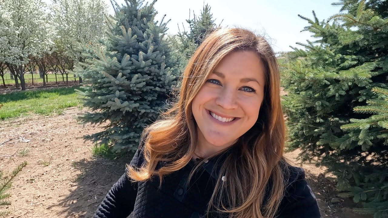 Visiting A Tree Farm Other Plant Shopping Garden Answer YouTube visiting-a-tree-farm-other-plant-shopping-garden-answer-youtube