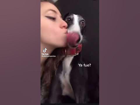 Miare demuestra que argos está muy feliz y que Dalas Miente - YouTube