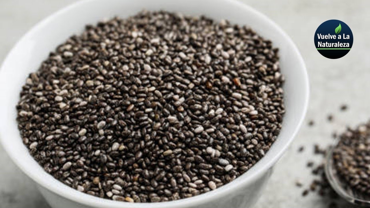 Para Que Sirve La Chia Propiedades Y Beneficios De La Semilla De Chia ...