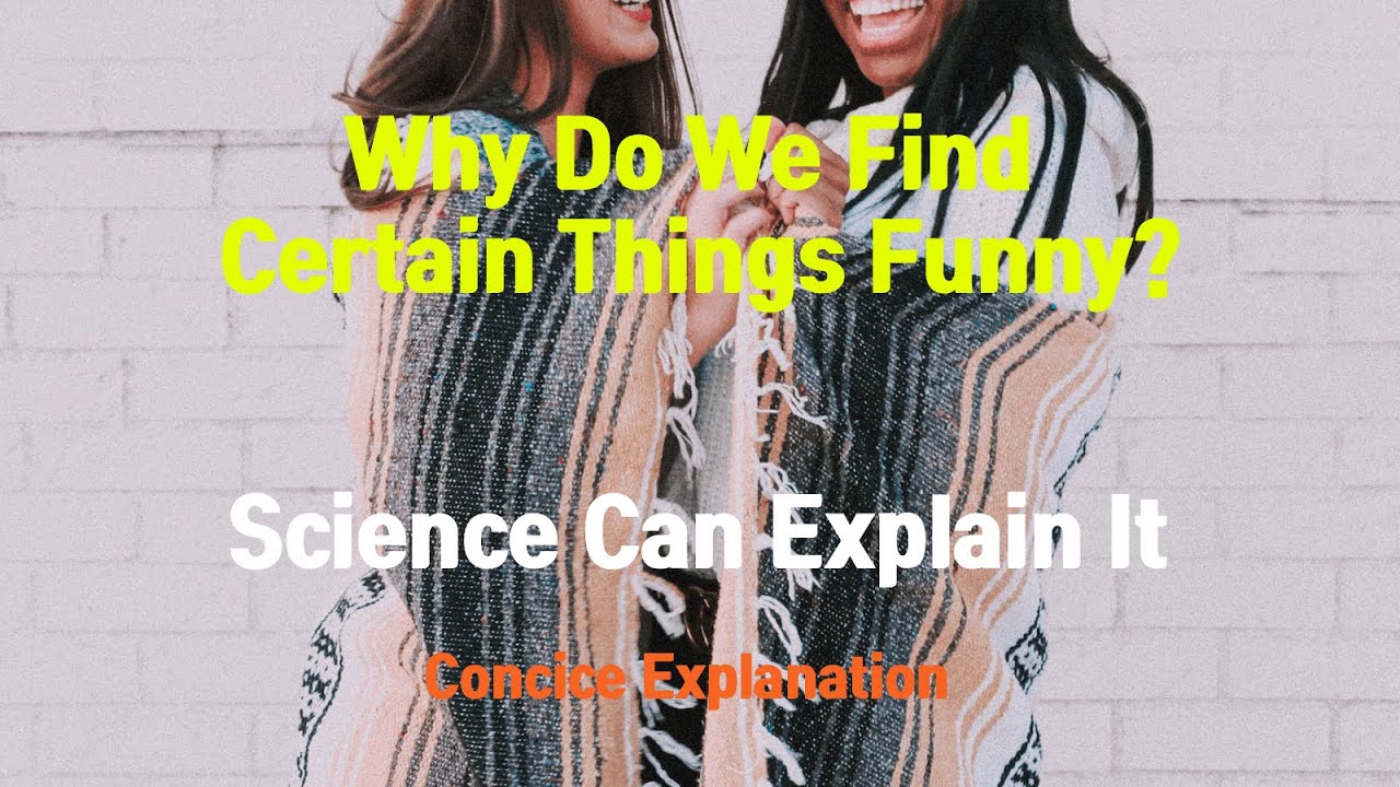 The Science Behind Why We Find Certain Things Funny - YouTube