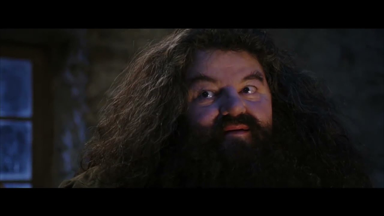 Harry Potter and the Philosopher's/Sorcerer's Stone - Hagrid/Diagon ...