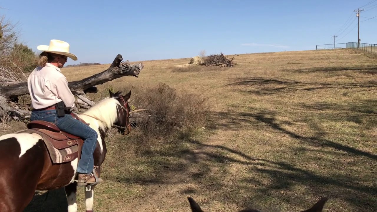 Jess Jeweled: Ranch and Trail 2017 - YouTube