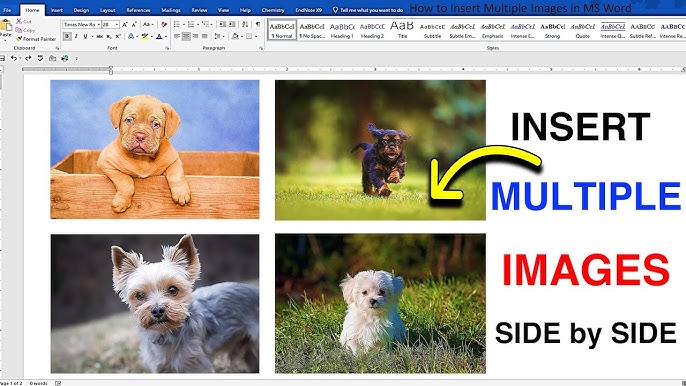 5 Ways To Insert Multiple Images In Ms Word 2023 JILL 5-ways-to-insert-multiple-images-in-ms-word-2023-jill