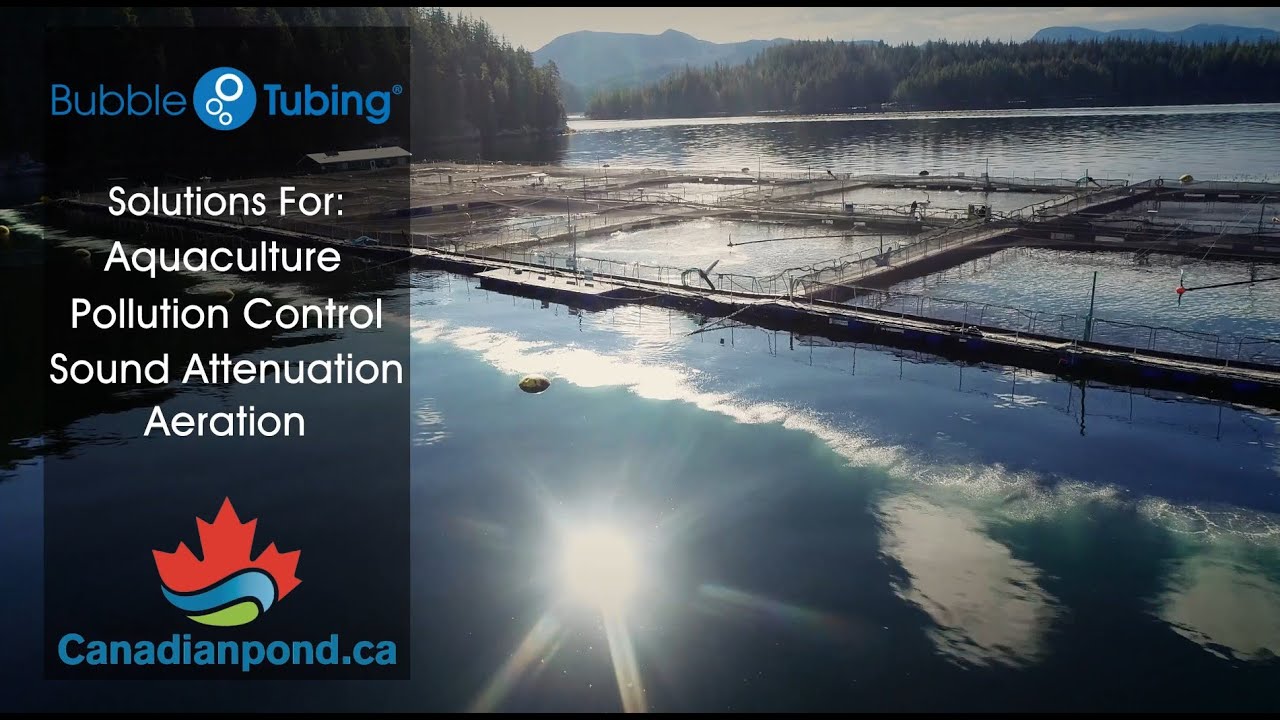 Introducing Bubble Tubing® by CanadianPond - YouTube
