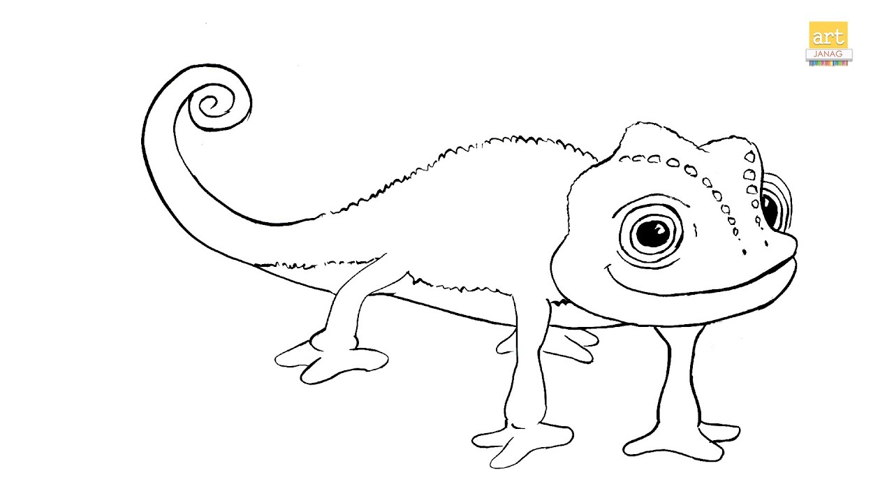 Pascal Chameleon Drawing