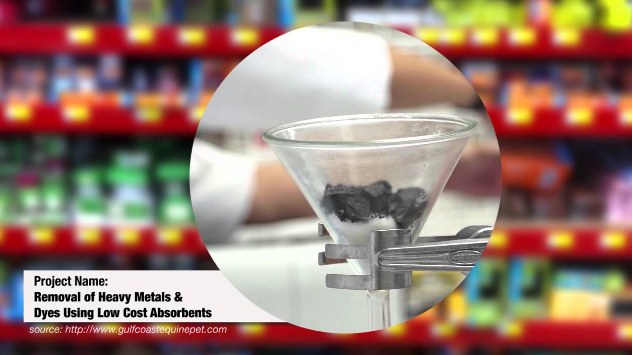 EXPERIENCE THE FUN WITH THE INTEGRATED SCIENCE PROJECT - YouTube