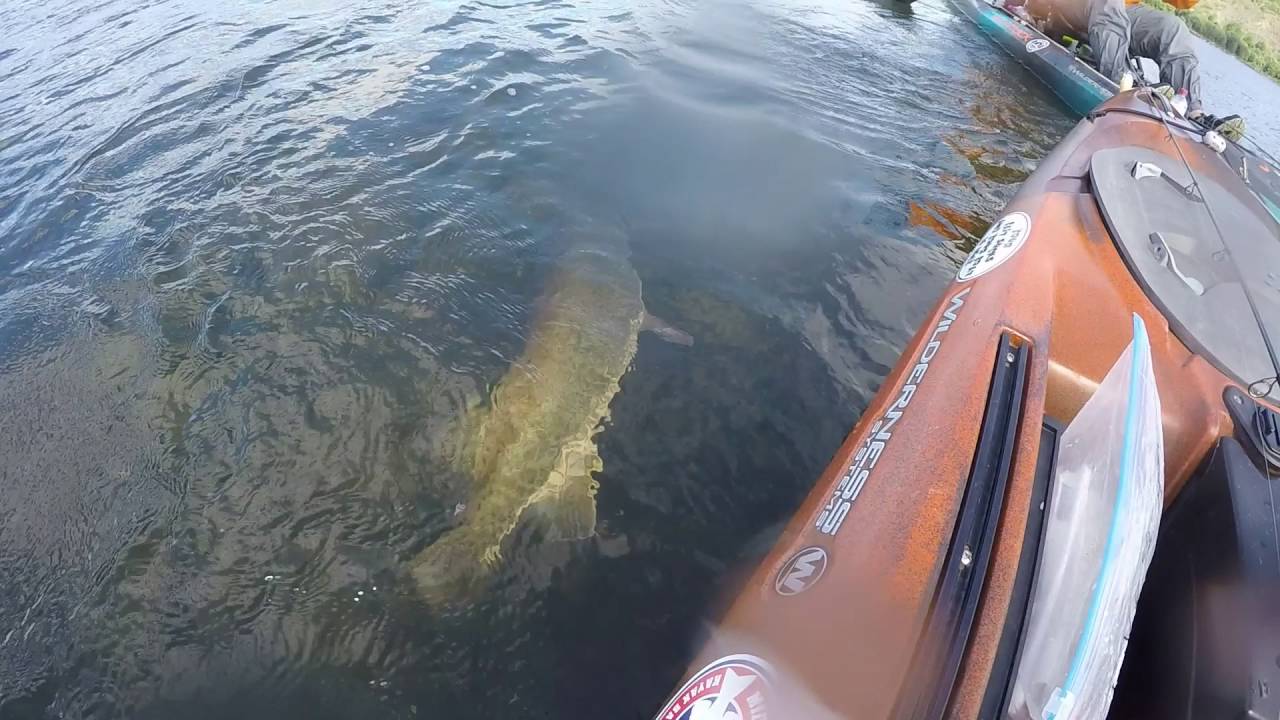 Susky Musky - YouTube