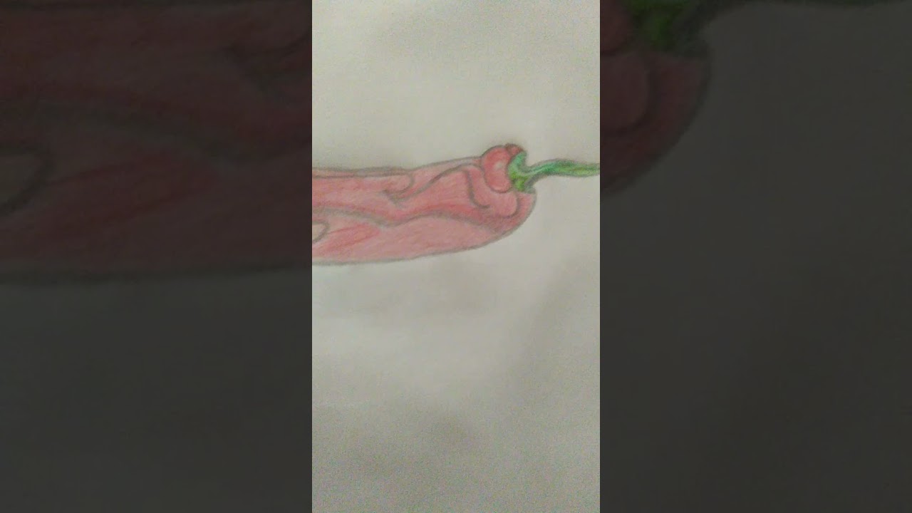 (Mirchi drawing) (a.v drawing) - YouTube