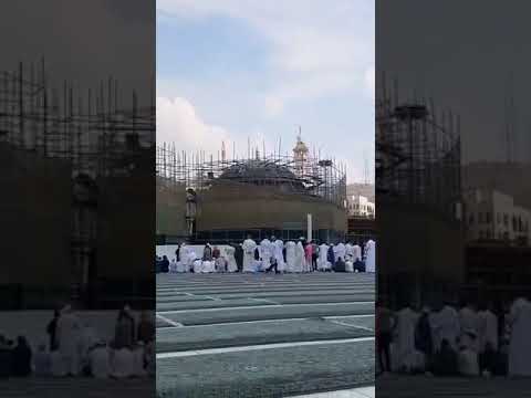 Kabede namaz kılan kuş
